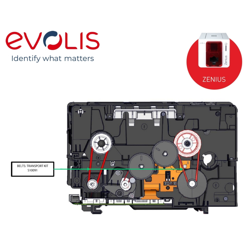 Kit courroies transport Evolis pour imprimantes Zenius/Primacy